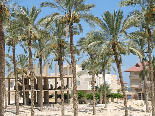 El Arish, un desino en el Sinai | Sobre Egipto : Sobre Egipto