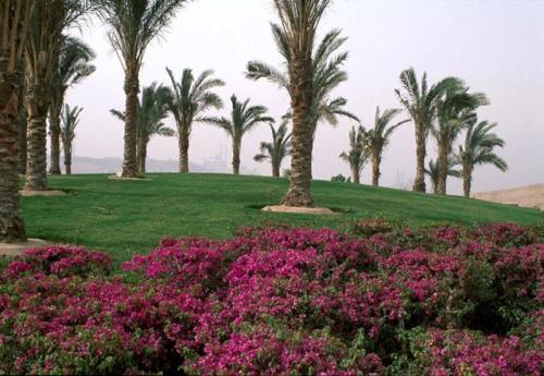 Parque Al-Azhar, maravilla en El Cairo | Sobre Egipto : Sobre Egipto